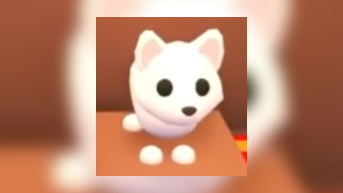 ¡Todas las mascotas navideñas en Adopt Me! (2019-presente) – Roblox ...