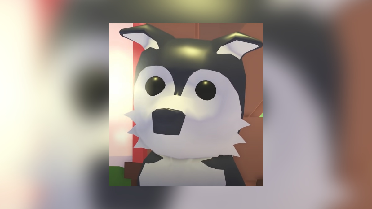 ¡Todas las mascotas navideñas en Adopt Me! (2019-presente) – Roblox ...